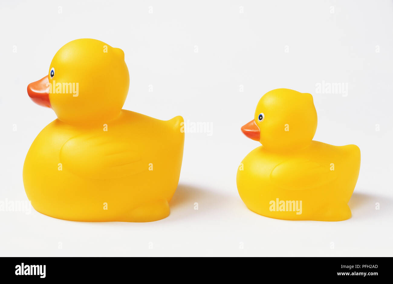 Two plastic yellow ducks Stock Photo - Alamy