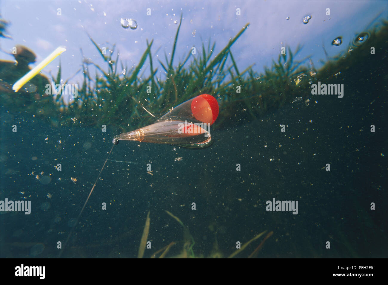 Underwater shot of orange pike float bait in water with surrounding ...