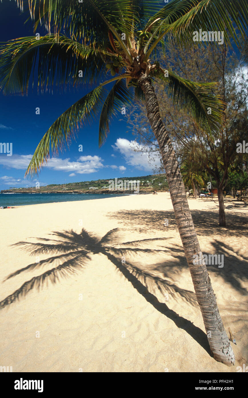 Manele hi-res stock photography and images - Alamy