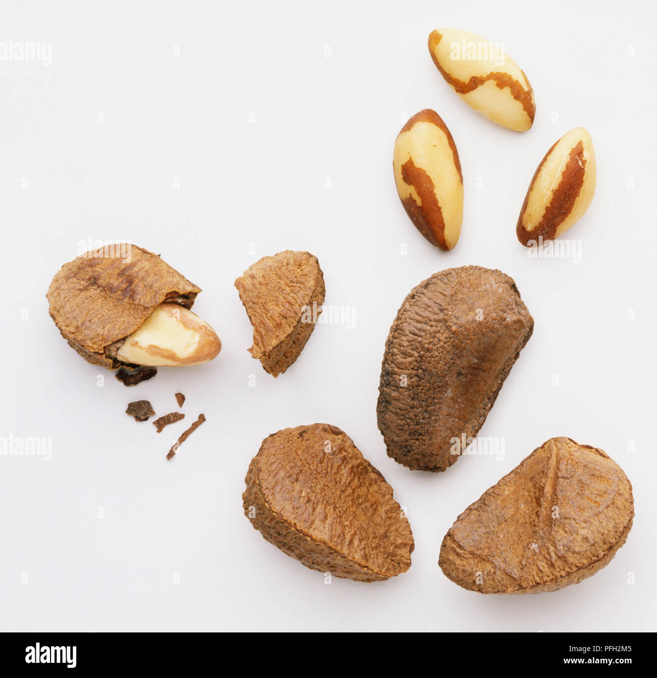 Above view of a handful of Brazil nuts, three shelled, one cracked open ...