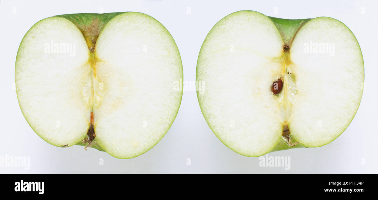 Cutting apple two halves hi-res stock photography and images - Alamy