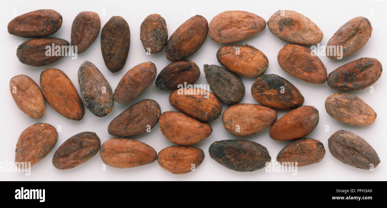 Cocoa beans, close up Stock Photo - Alamy