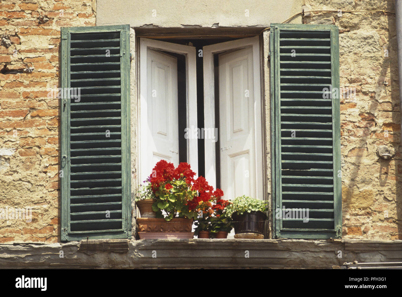 Plants and flowers on shuttered windows hi-res stock photography and ...