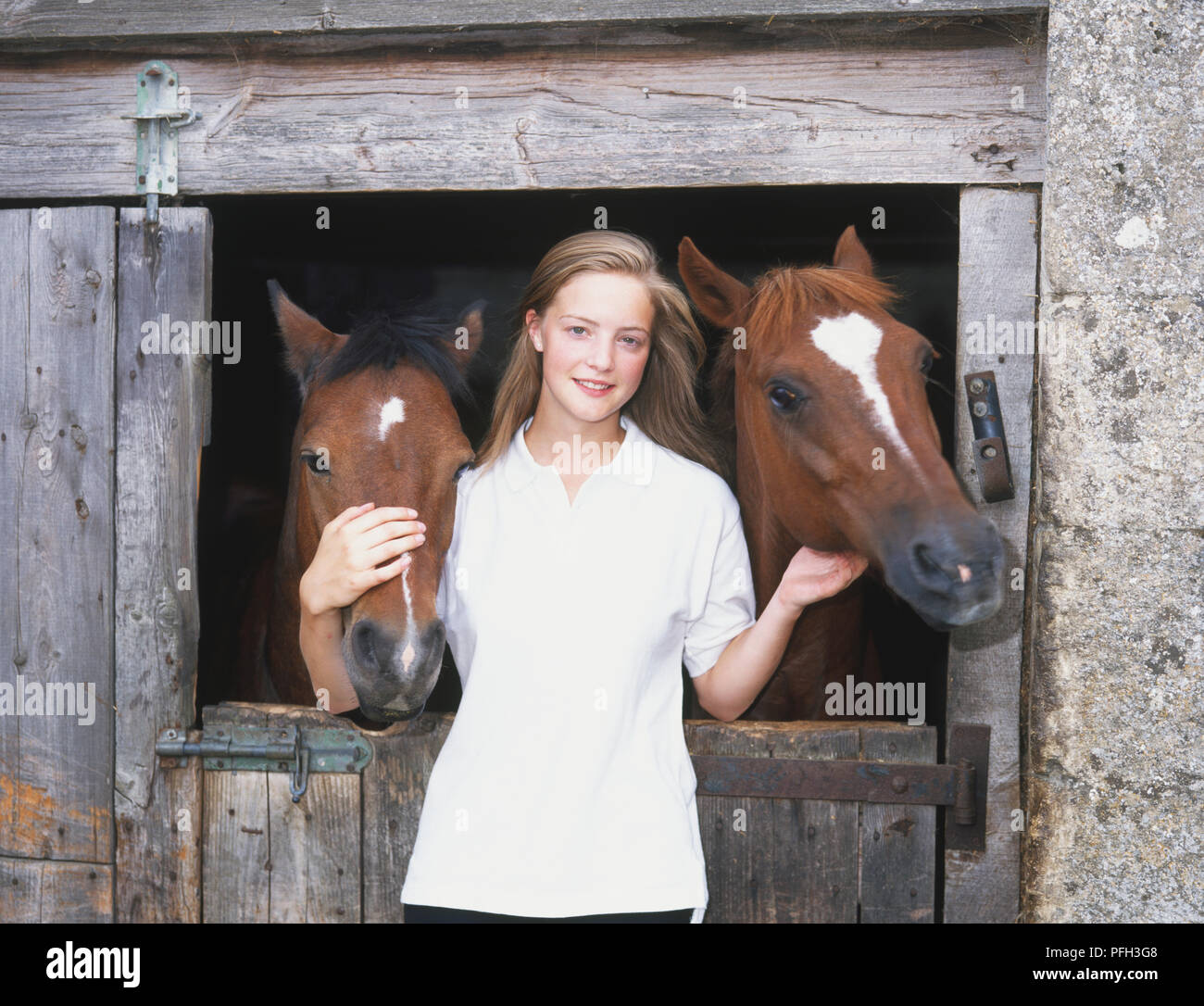 Two horses looking over stable hi-res stock photography and images - Alamy