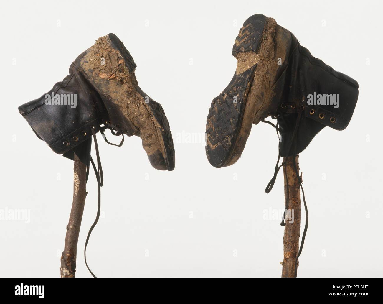 Black leather boots covered in mud hoisted upside down on wooden sticks ...