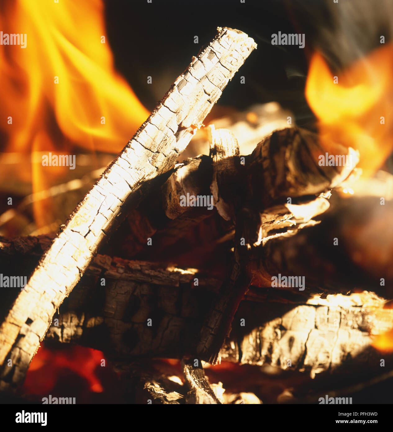 Wooden logs burning in a bonfire turning into ash, close up Stock Photo ...