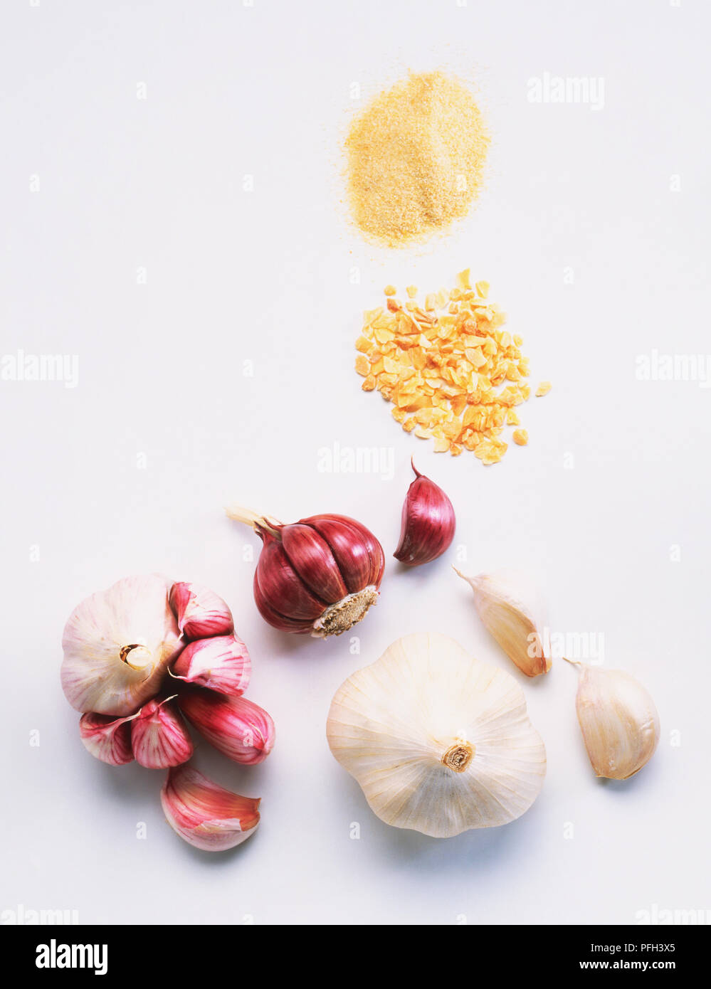 Allium sativum, Garlic bulbs, cloves, flakes and ground Garlic, view ...