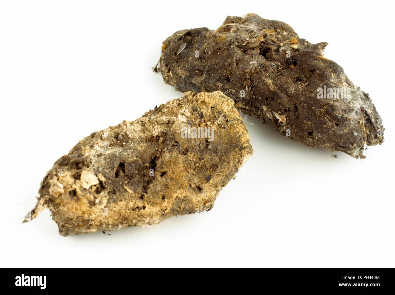 Bird droppings hi-res stock photography and images - Alamy