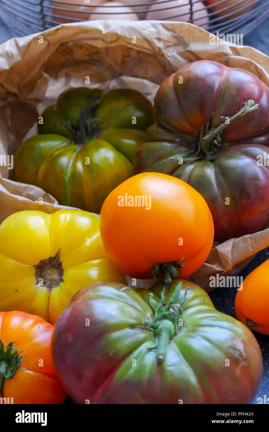 the different rustic tomatoes from the garden Stock Photo - Alamy