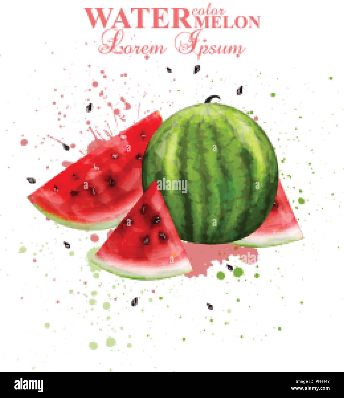 Watercolor watermelon fruit Vector. Fresh and colorful design handmade ...