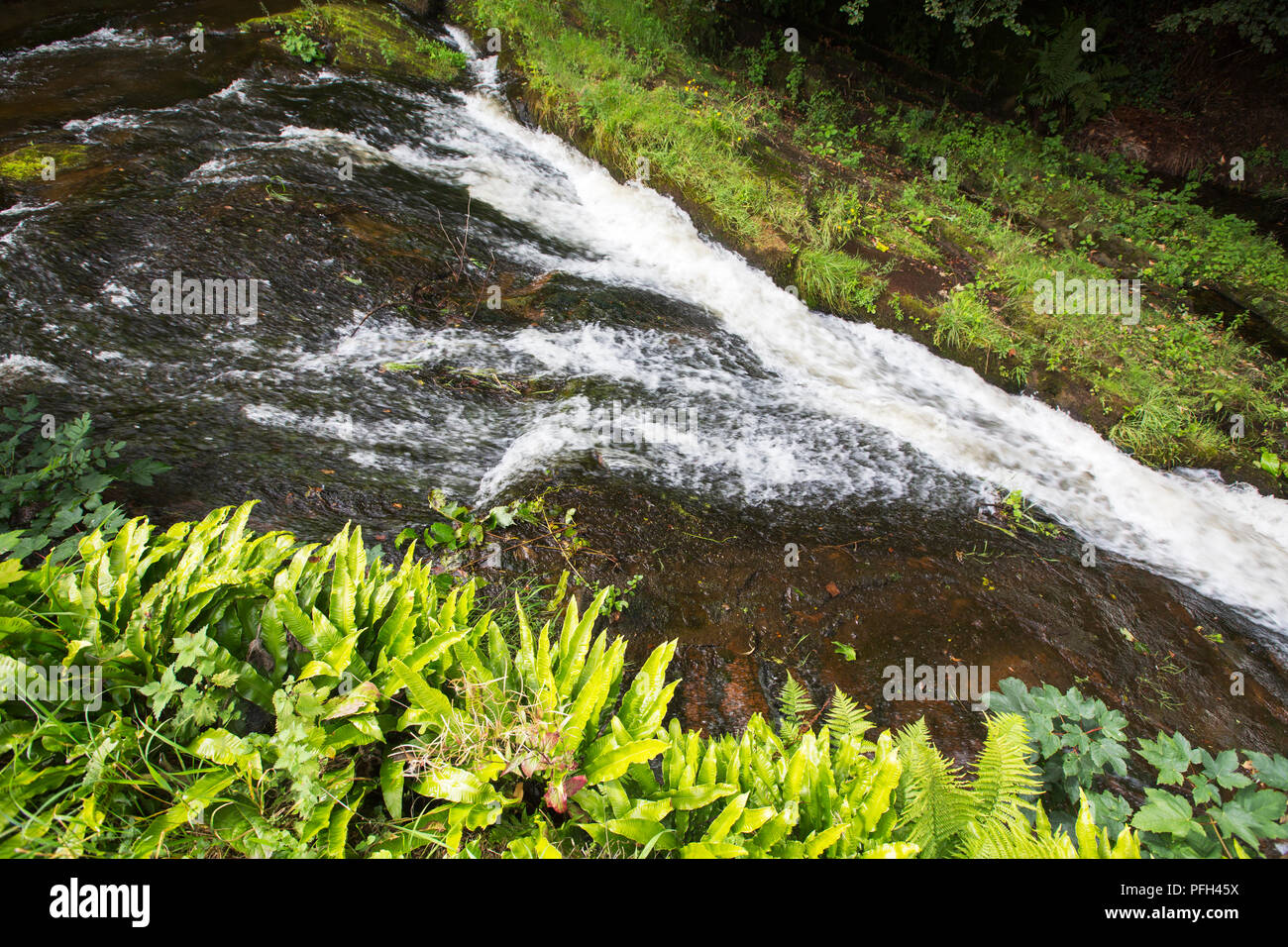 Raven beck hi-res stock photography and images - Alamy