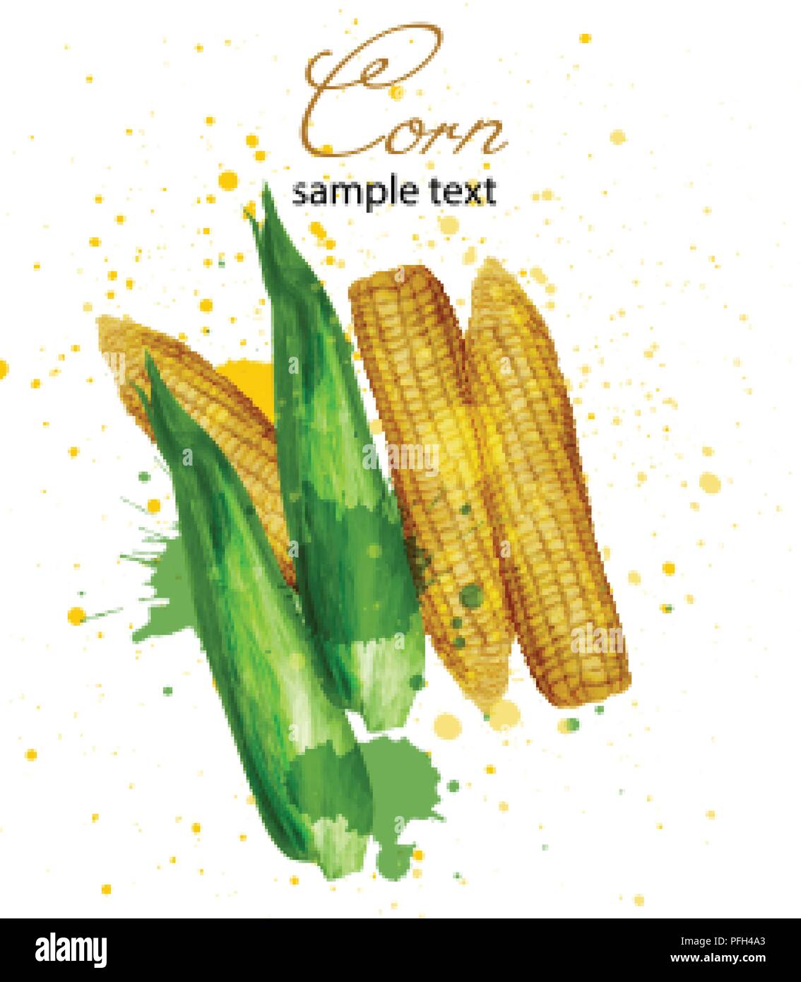 Corn watercolor Vector. Delicious colorful design isolated Stock Vector ...