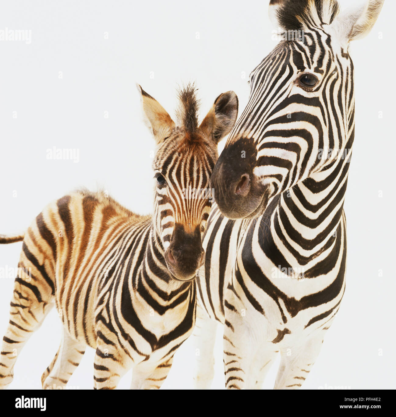 Standing next to each other hi-res stock photography and images - Alamy