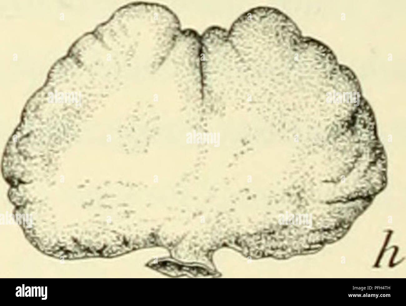 E 8 4 58 hi-res stock photography and images - Alamy