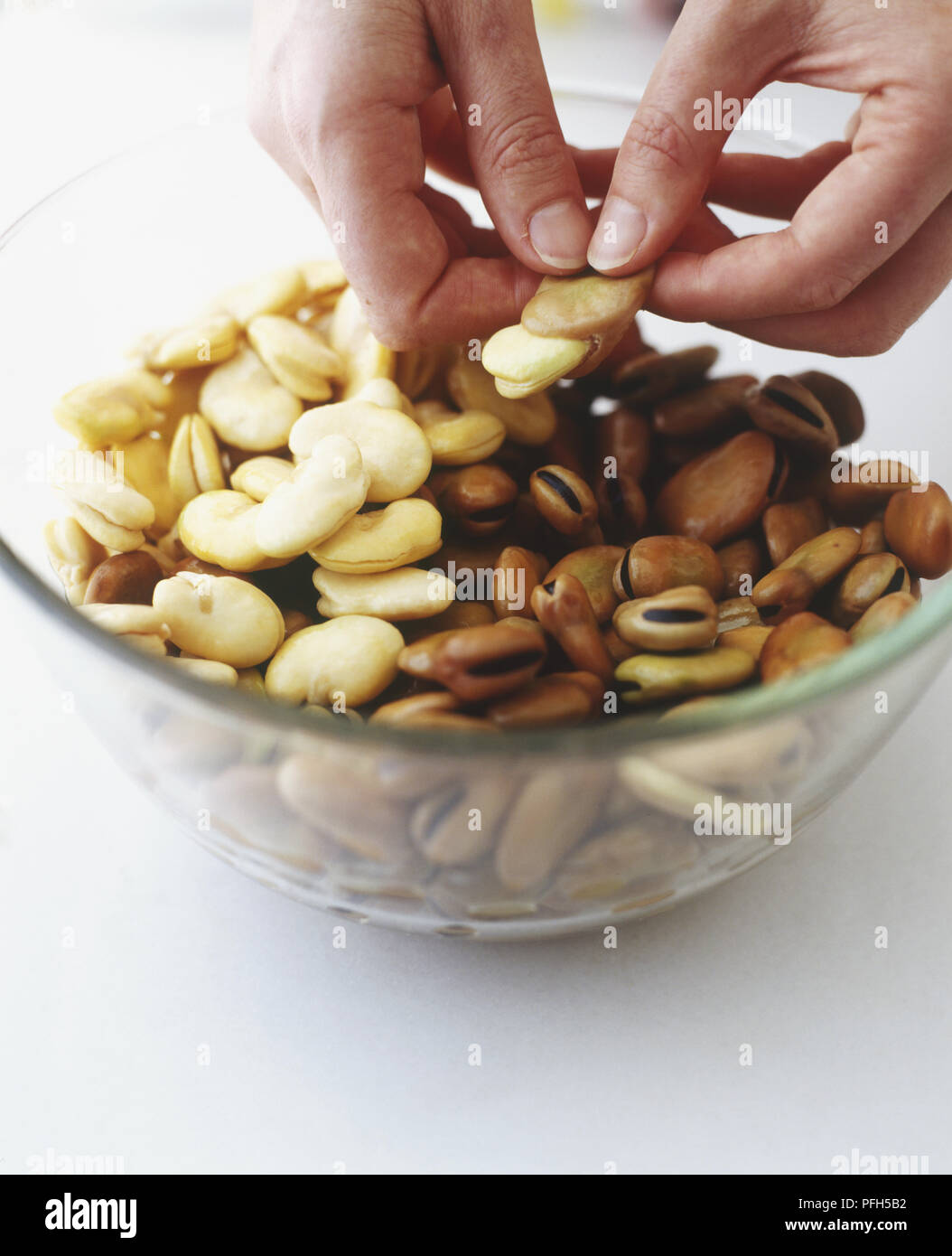White broad beans in hand hi-res stock photography and images - Alamy
