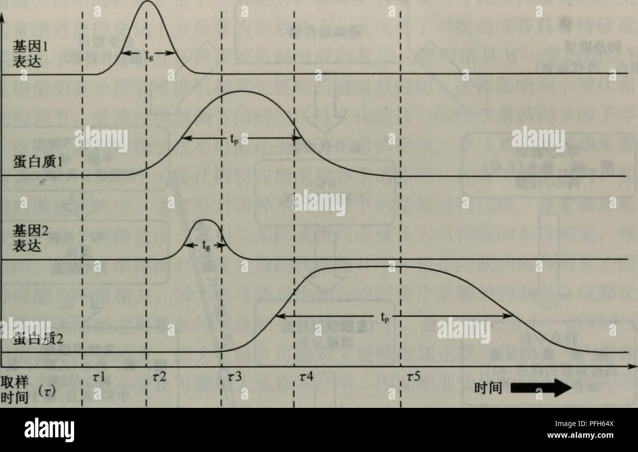This Chinese botanical text explores various methods and applications ...
