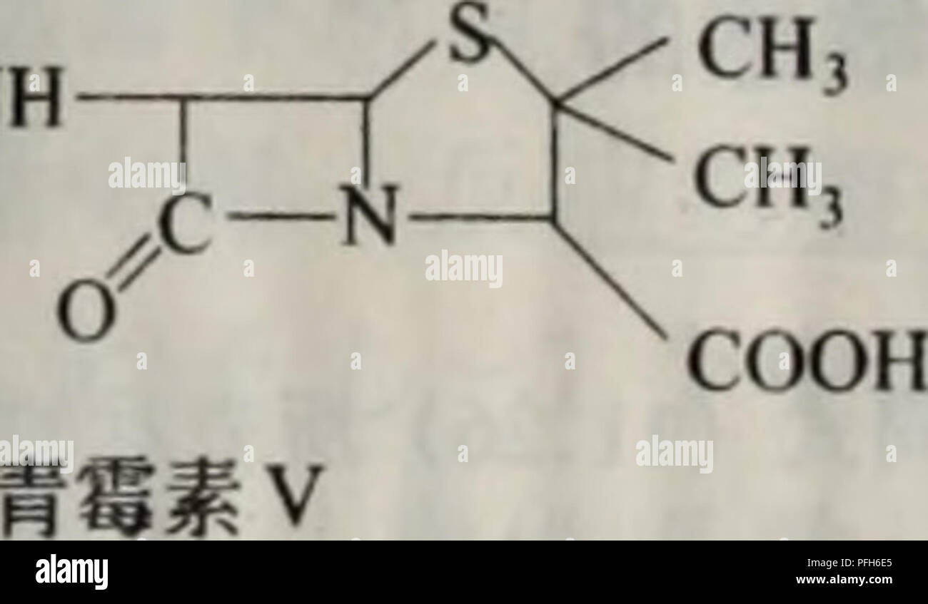 This work on *dai xie gong cheng* (likely referring to a branch of ...