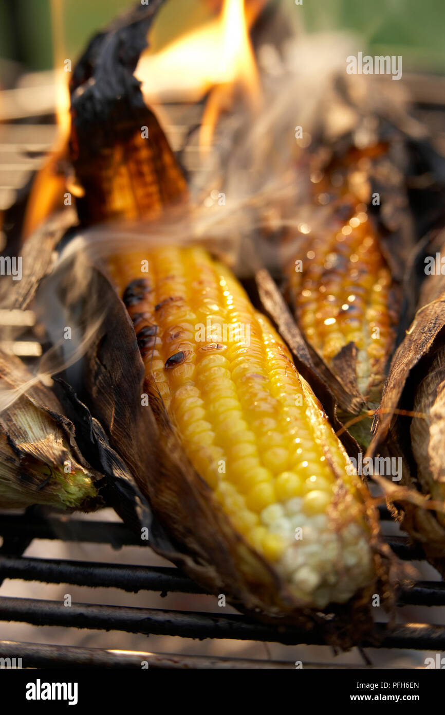 Sweetcorn on barbecue grill Stock Photo - Alamy