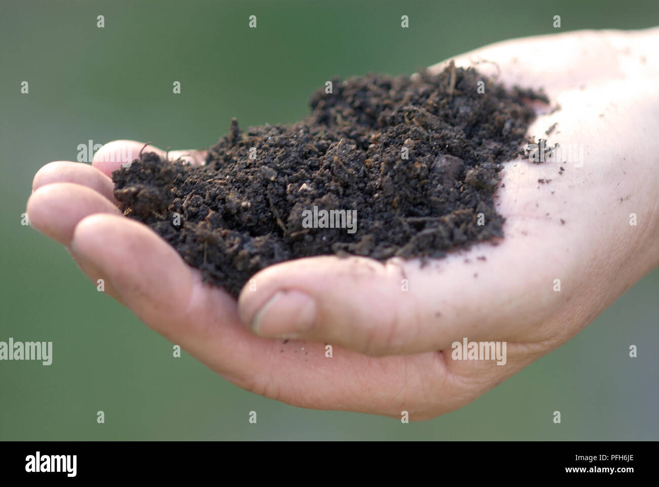 Hand holding compost Stock Photo - Alamy