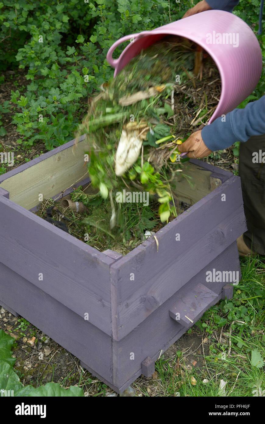 Tipping leaves and wood from plastic bin into compost container Stock ...