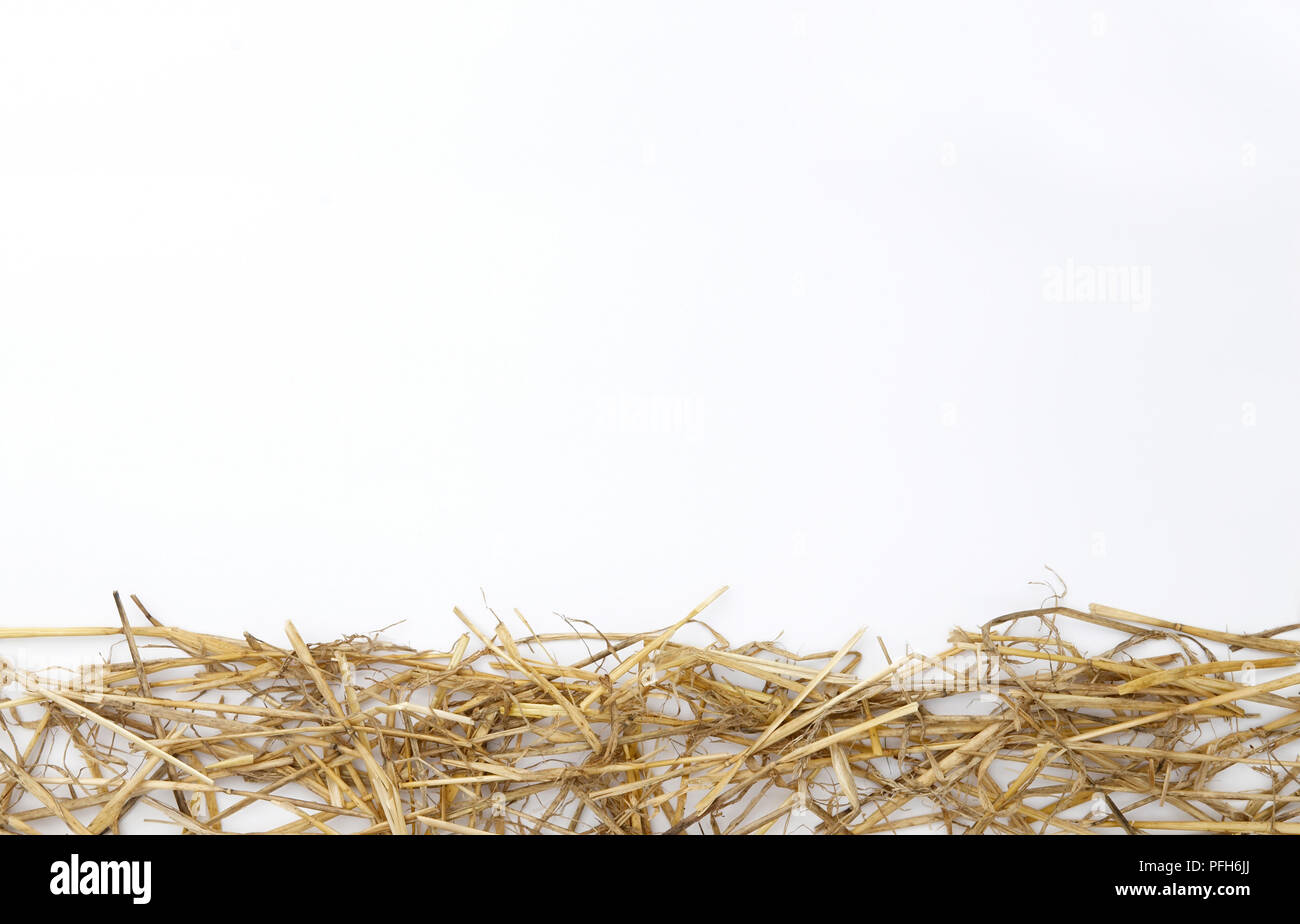 Above border hi-res stock photography and images - Alamy