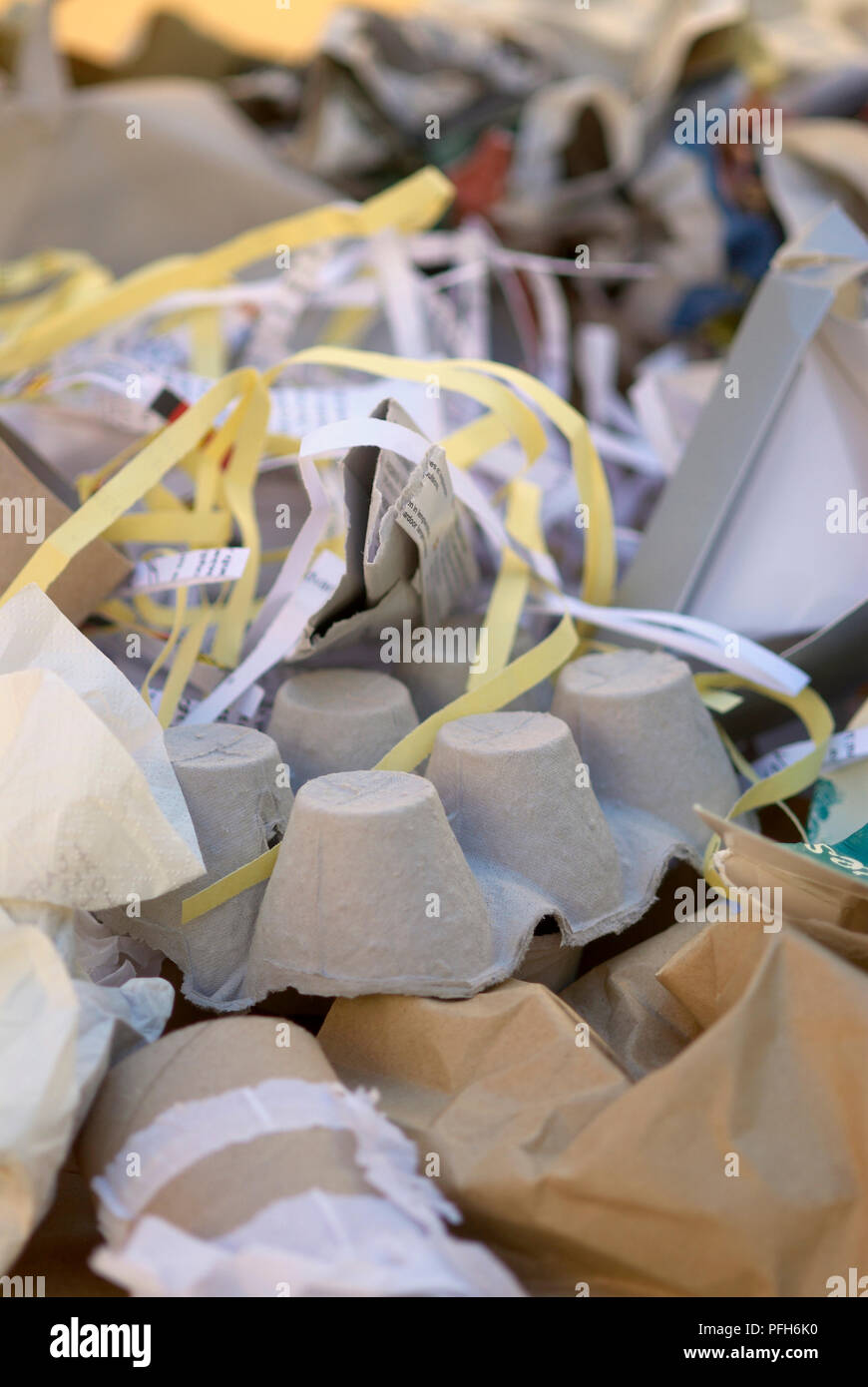 Various cardboard and paper waste, including egg box, paper bag and ...