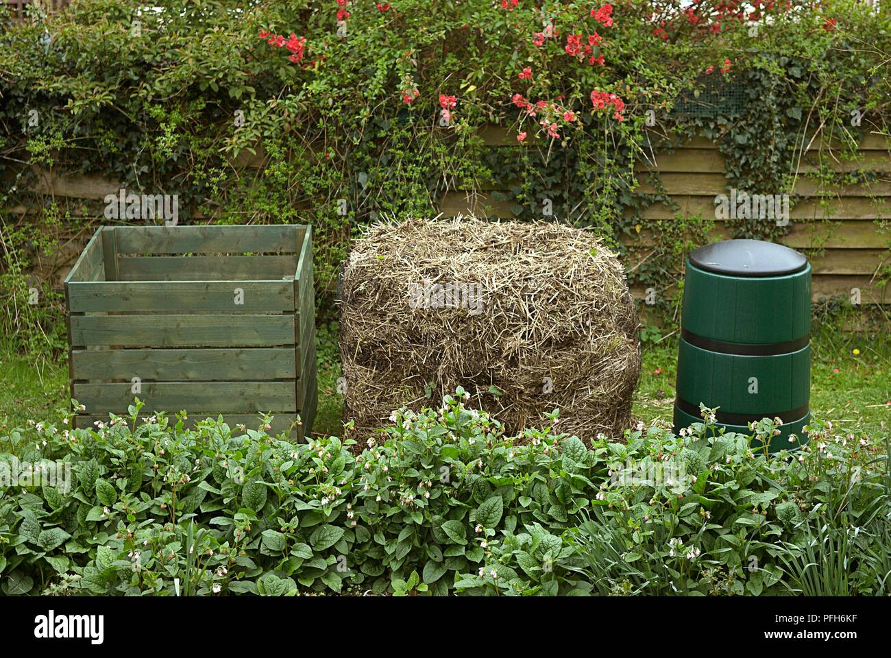 Domestic garden plastic compost bin hi-res stock photography and images ...