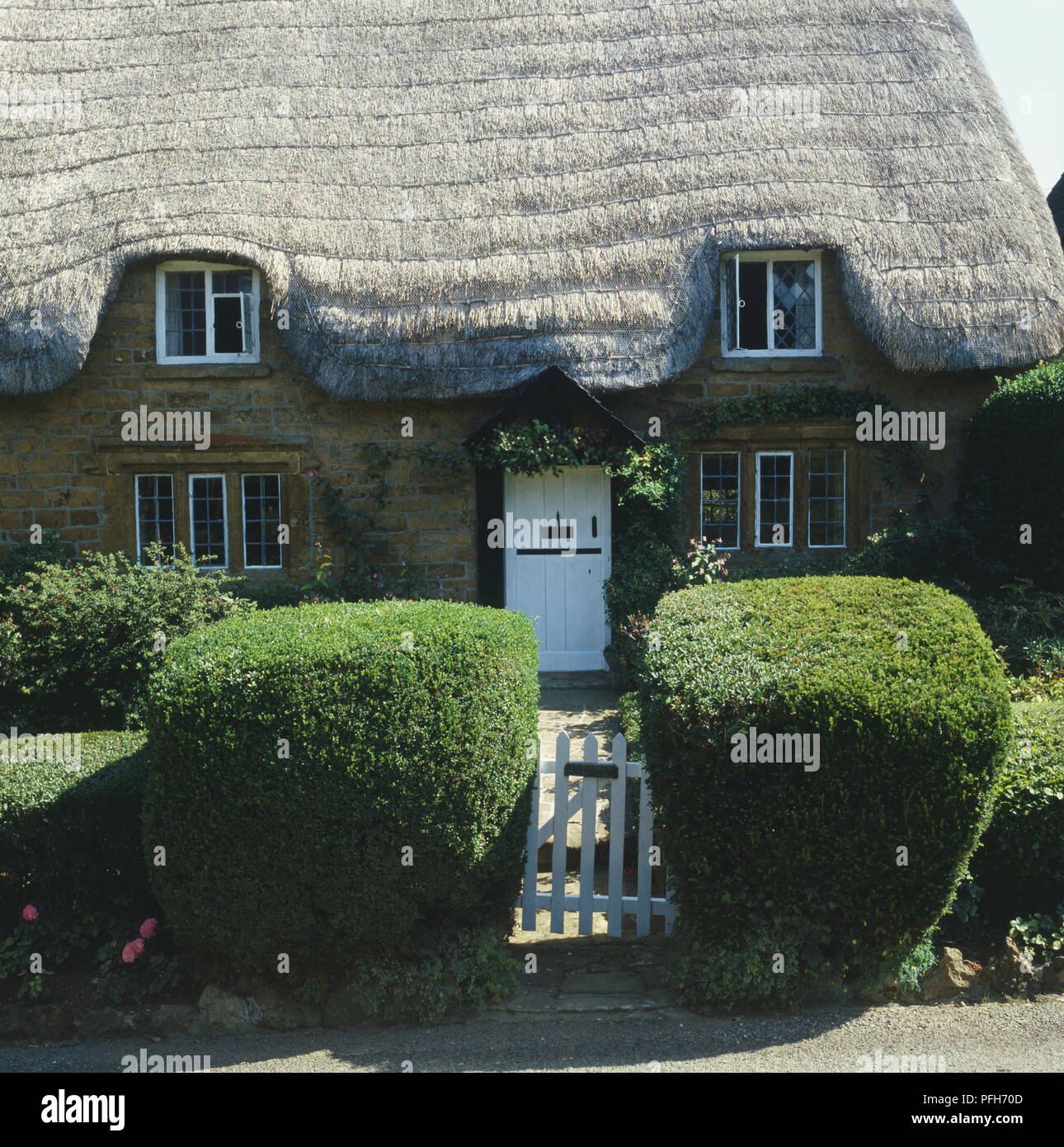 Facade of a thatched roof cottage with front garden Stock Photo - Alamy
