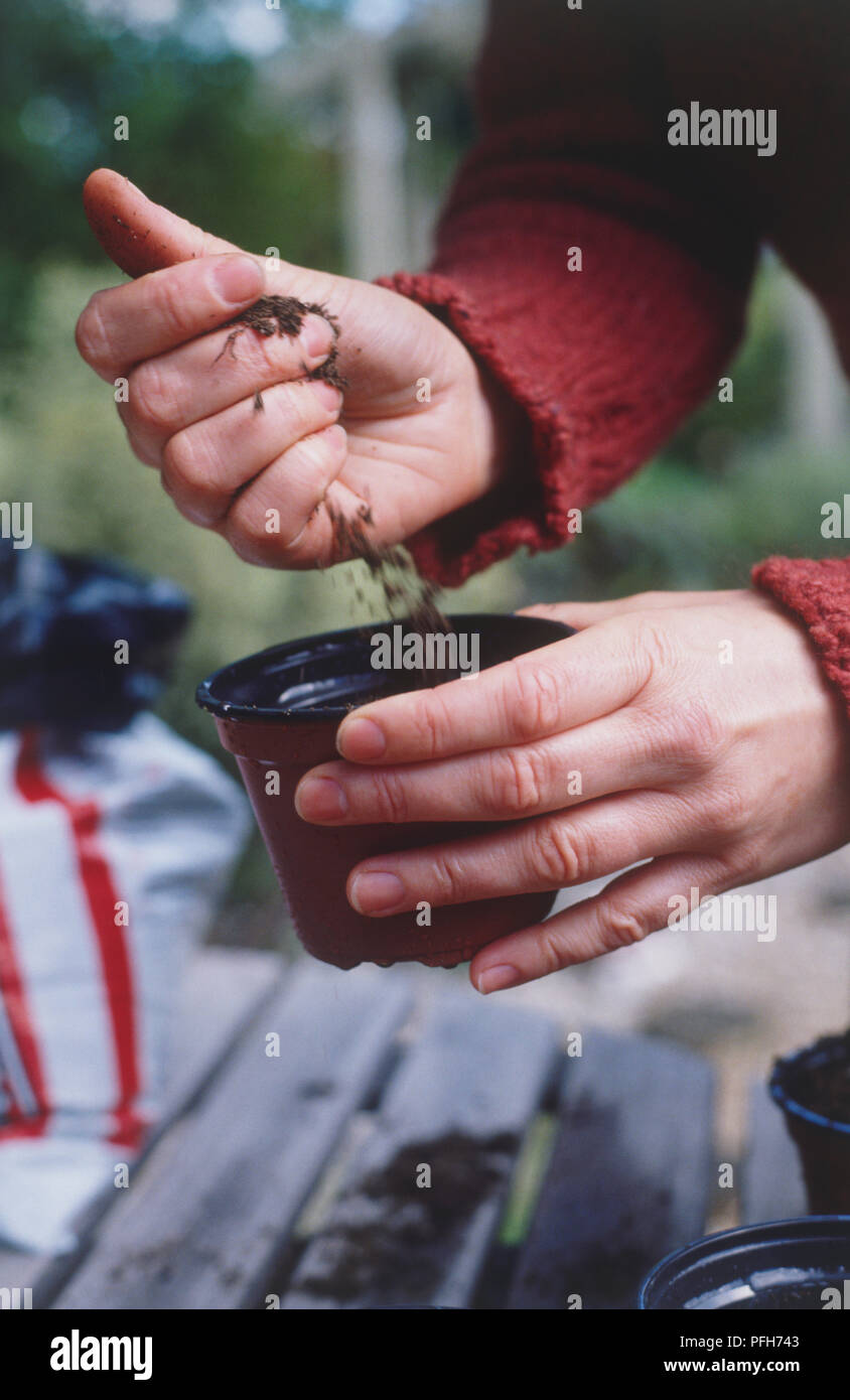 Using hands to fill pot with compost, close-up Stock Photo - Alamy