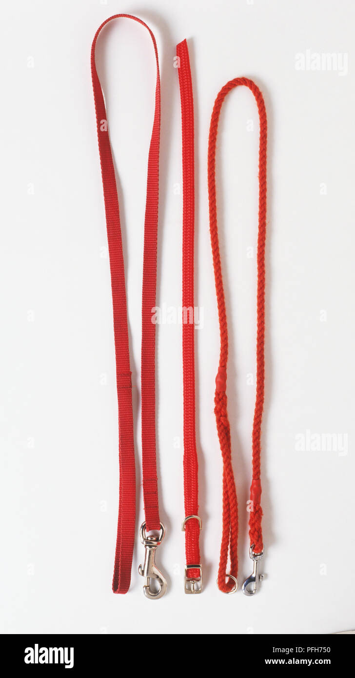 Three red leashes Stock Photo - Alamy