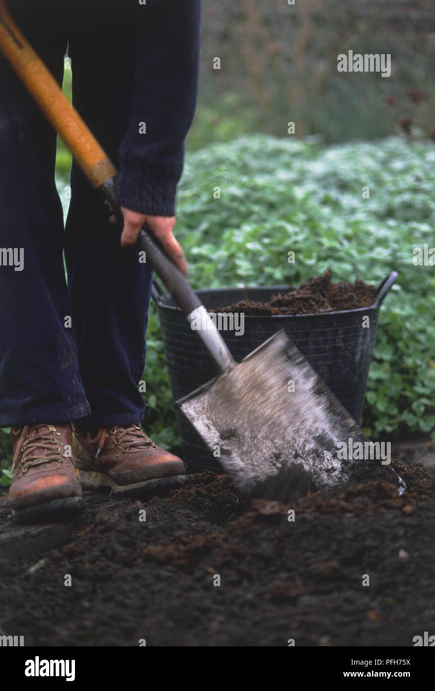 Using a spade hi-res stock photography and images - Alamy