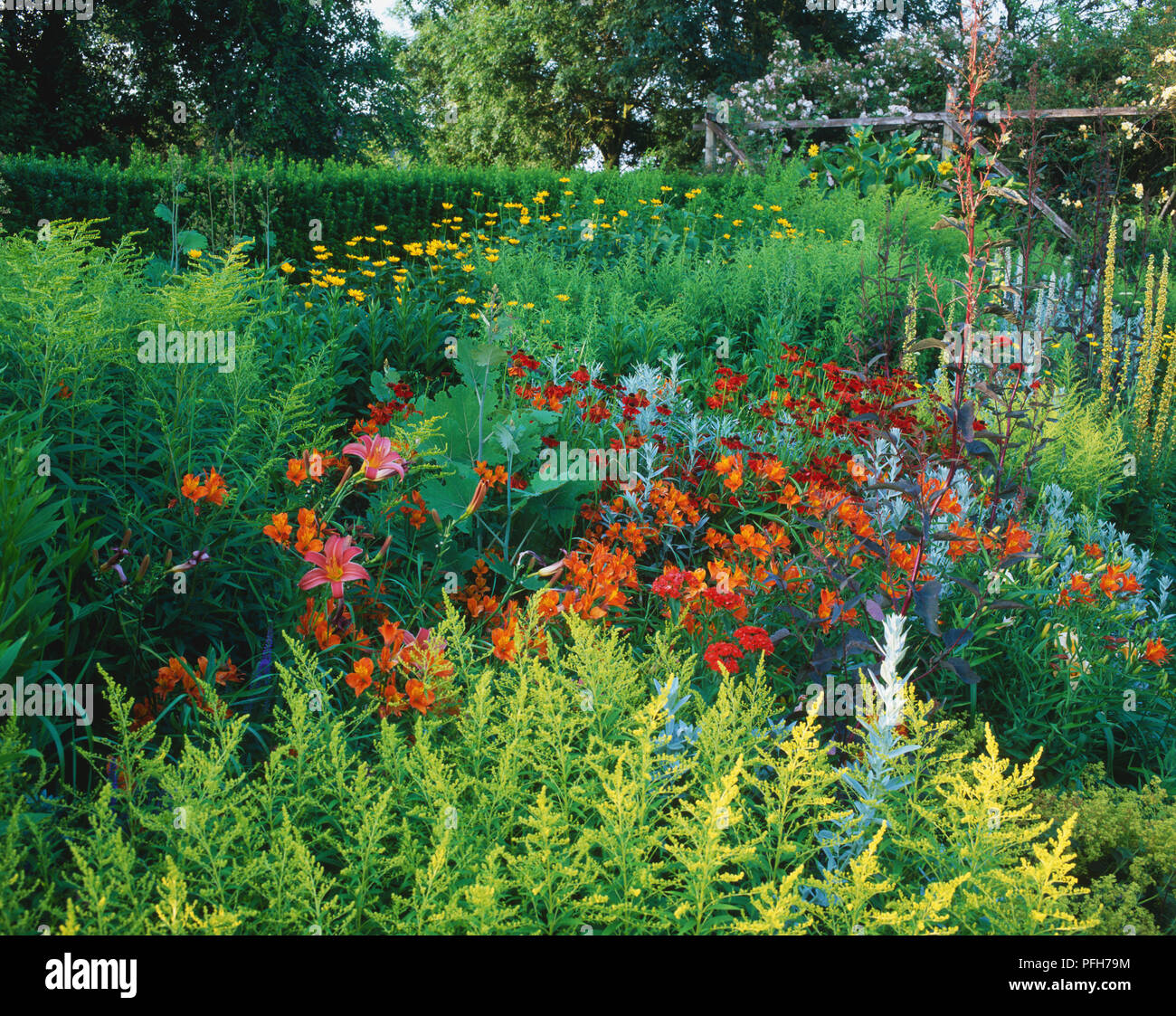 Border colour hi-res stock photography and images - Alamy