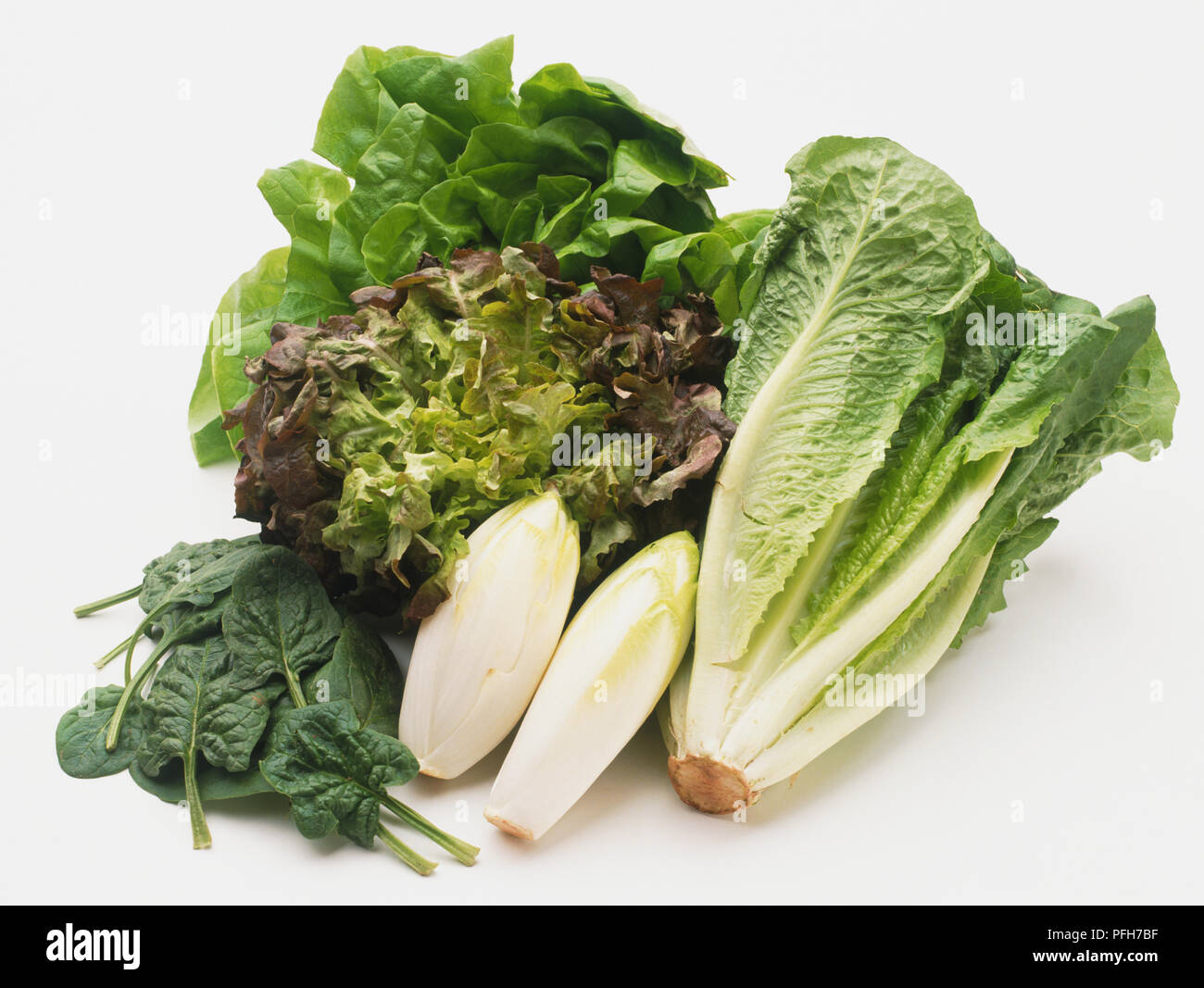 Chicoree, spinach leaves and three types of lettuce Stock Photo - Alamy