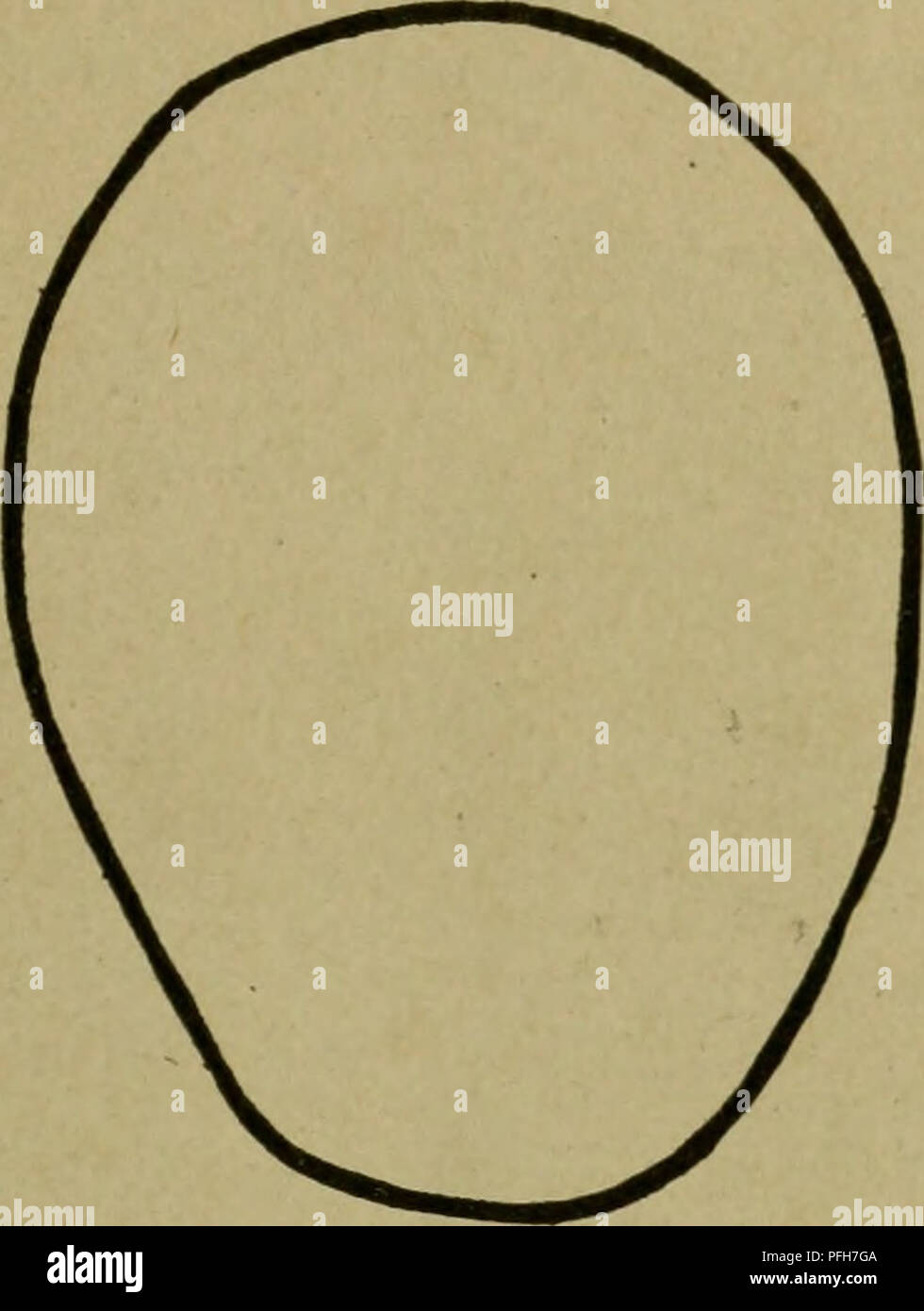 This illustration from 'Dairy Farming' depicts a steer at the middle of ...