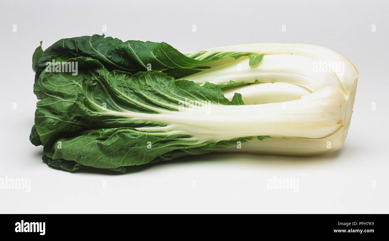 Whole pak choi hi-res stock photography and images - Alamy