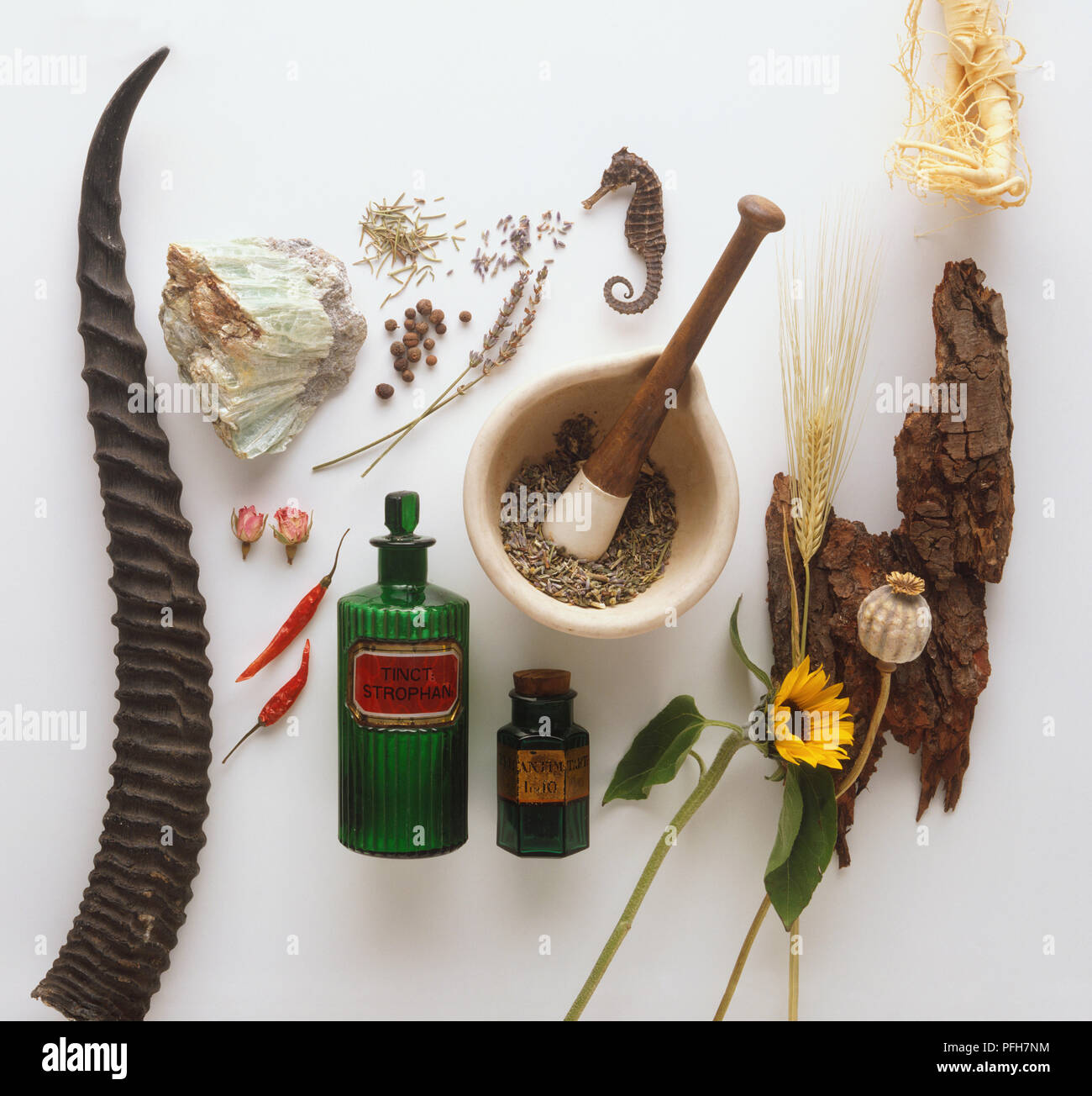 Selection of materials used in natural medicine Stock Photo - Alamy