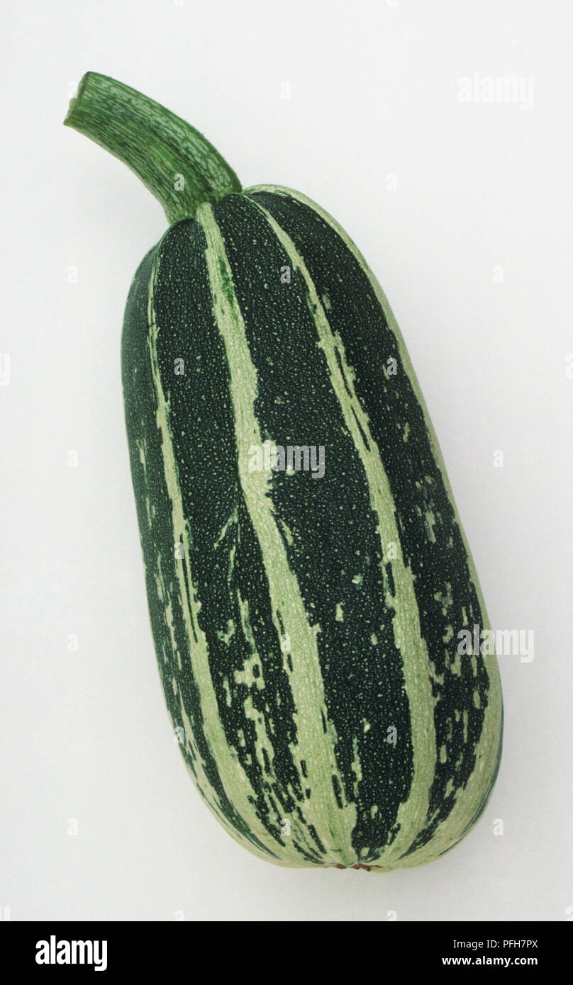 Squash cucurbita sp hi-res stock photography and images - Alamy