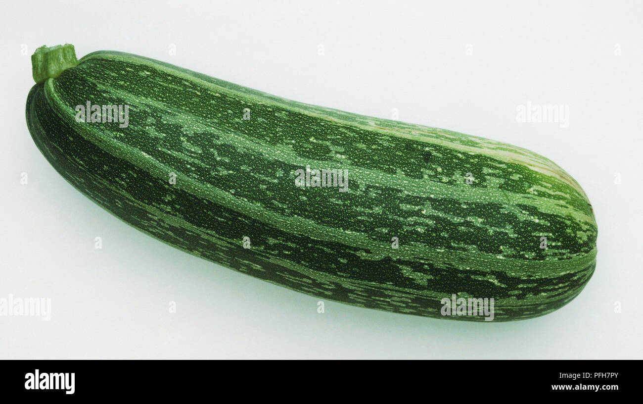 Cucurbita sp hi-res stock photography and images - Alamy