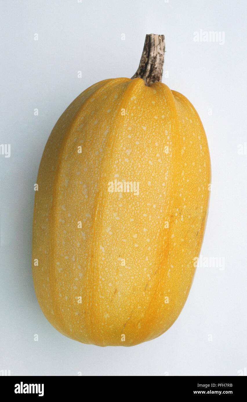 Squash cucurbita sp hi-res stock photography and images - Alamy