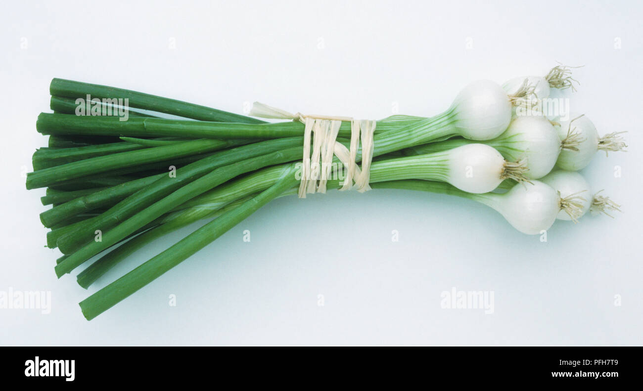 String of small onions hi-res stock photography and images - Alamy