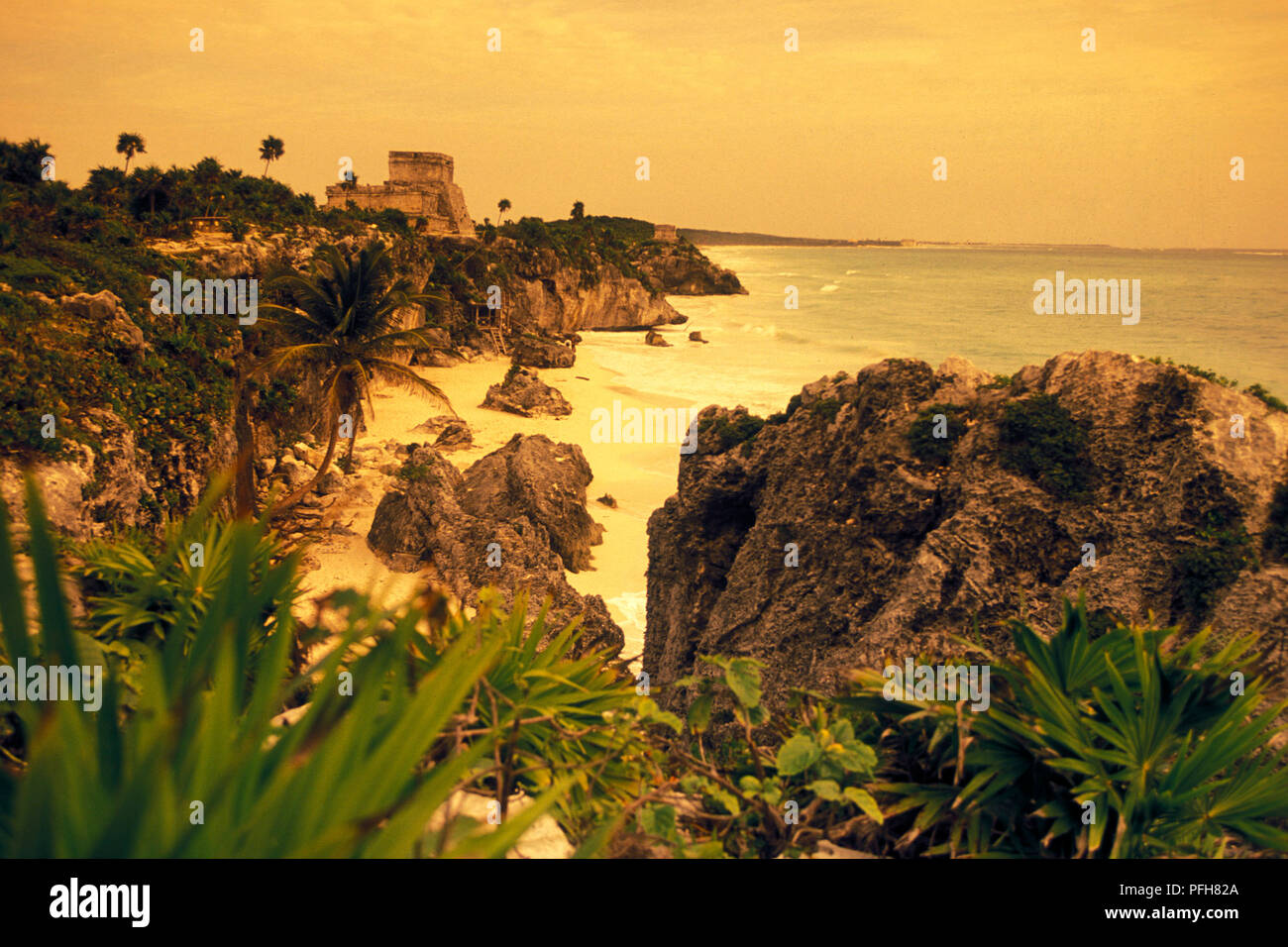 the maya ruins of Tulum at the beach of Tulum in the Province Quintana ...