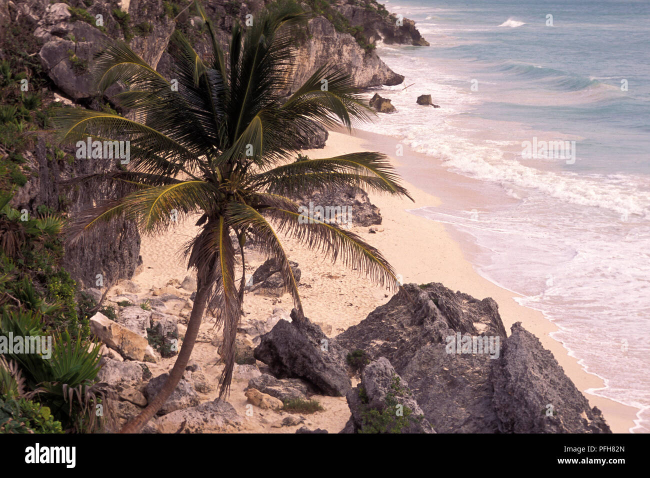 a beach at the maya ruins of Tulum at the beach of Tulum in the ...
