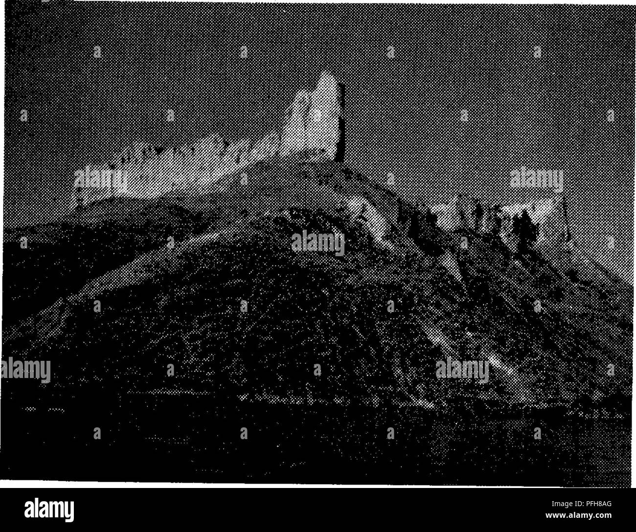 Trueflies hi-res stock photography and images - Alamy