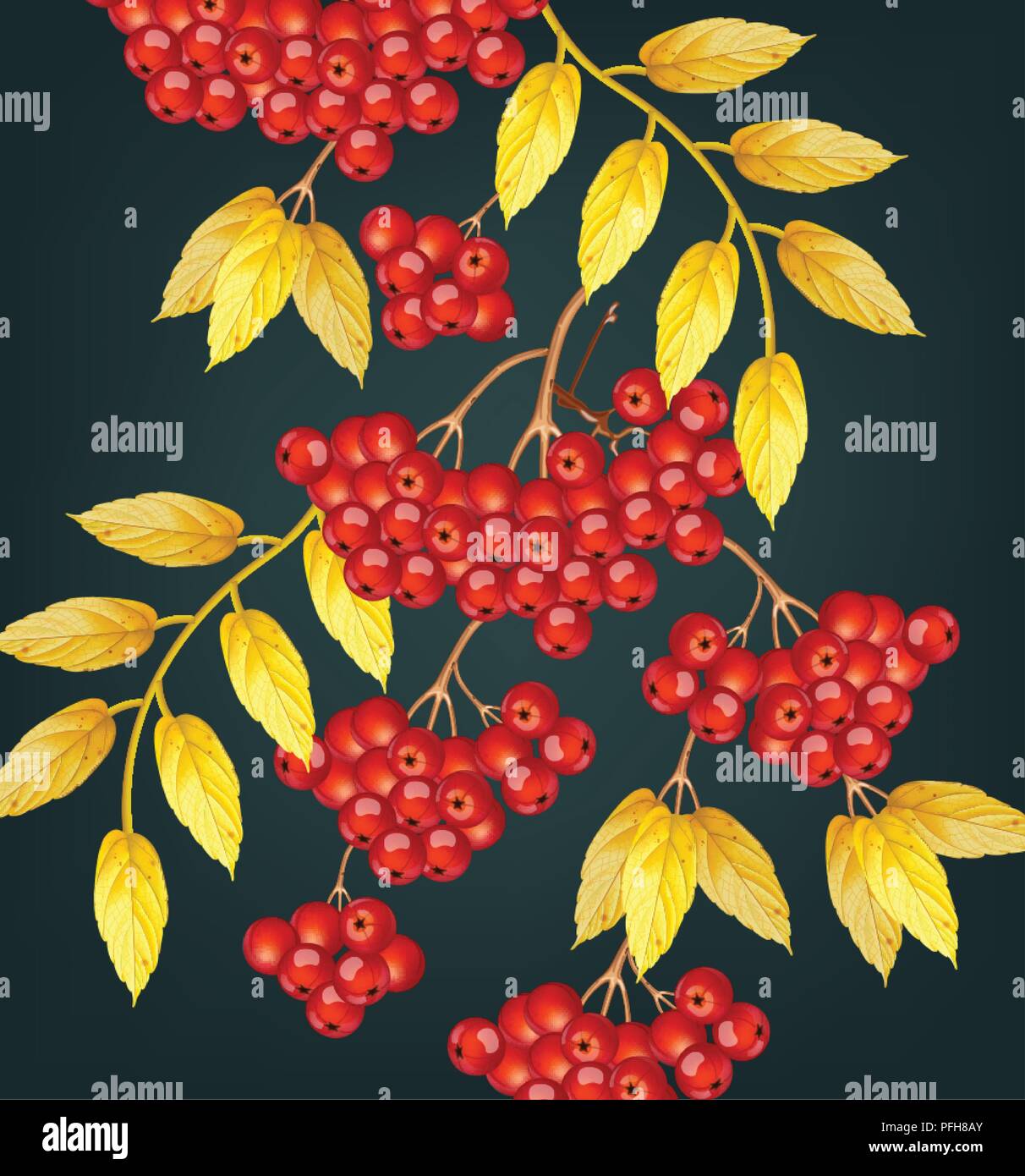 Cute winter pattern rowan Stock Vector Images - Alamy