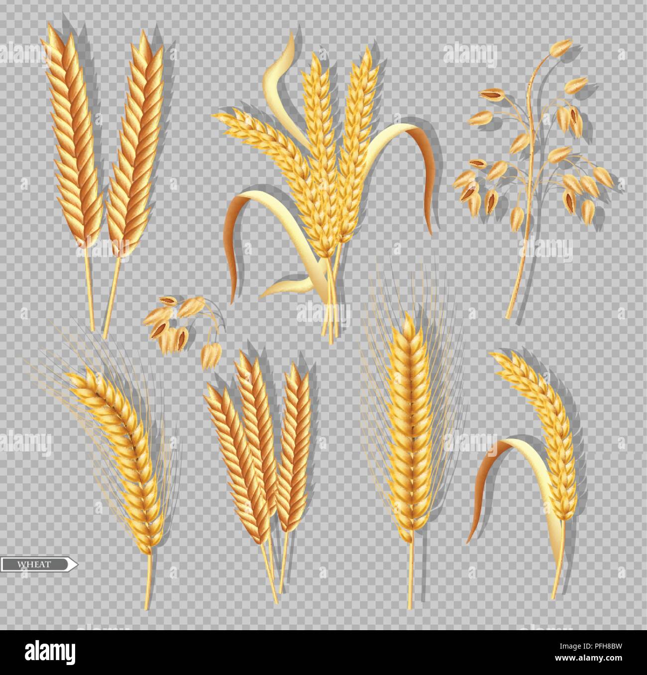 Wheat harvest collection Stock Vector Image & Art - Alamy