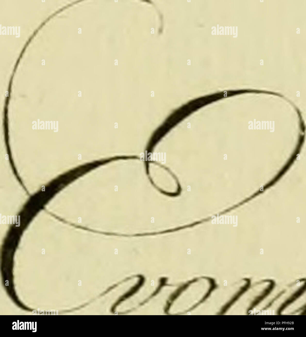 This image depicts foreign trees and shrubs that thrive in Germany's ...