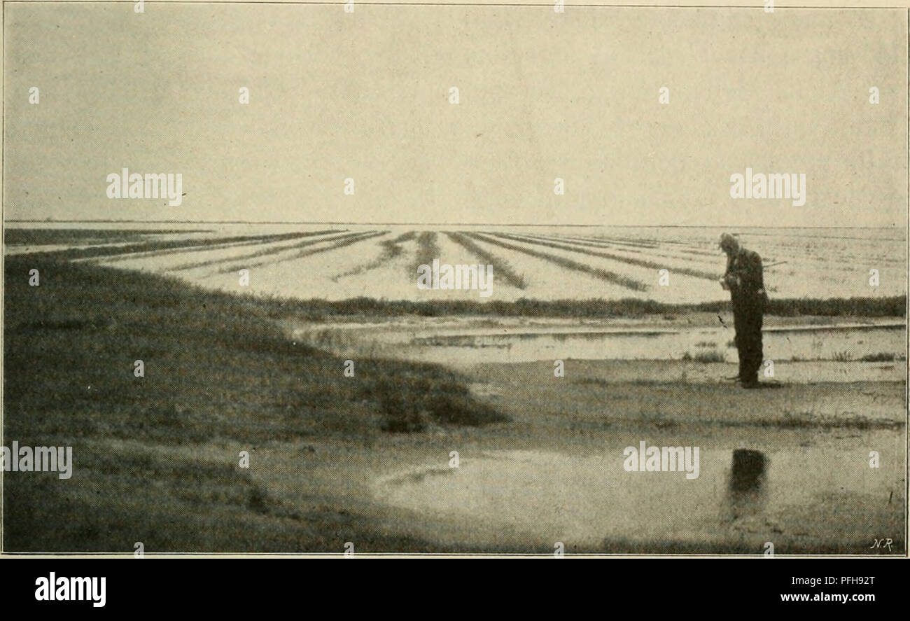 Loss of fertile land hi-res stock photography and images - Alamy