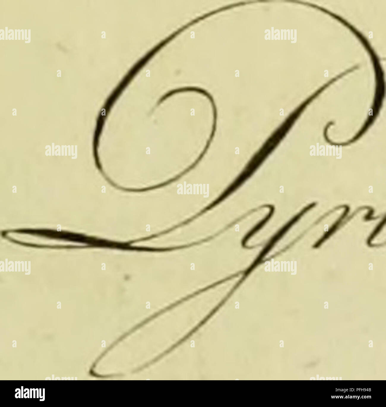 This work presents a comprehensive illustration of foreign trees and ...