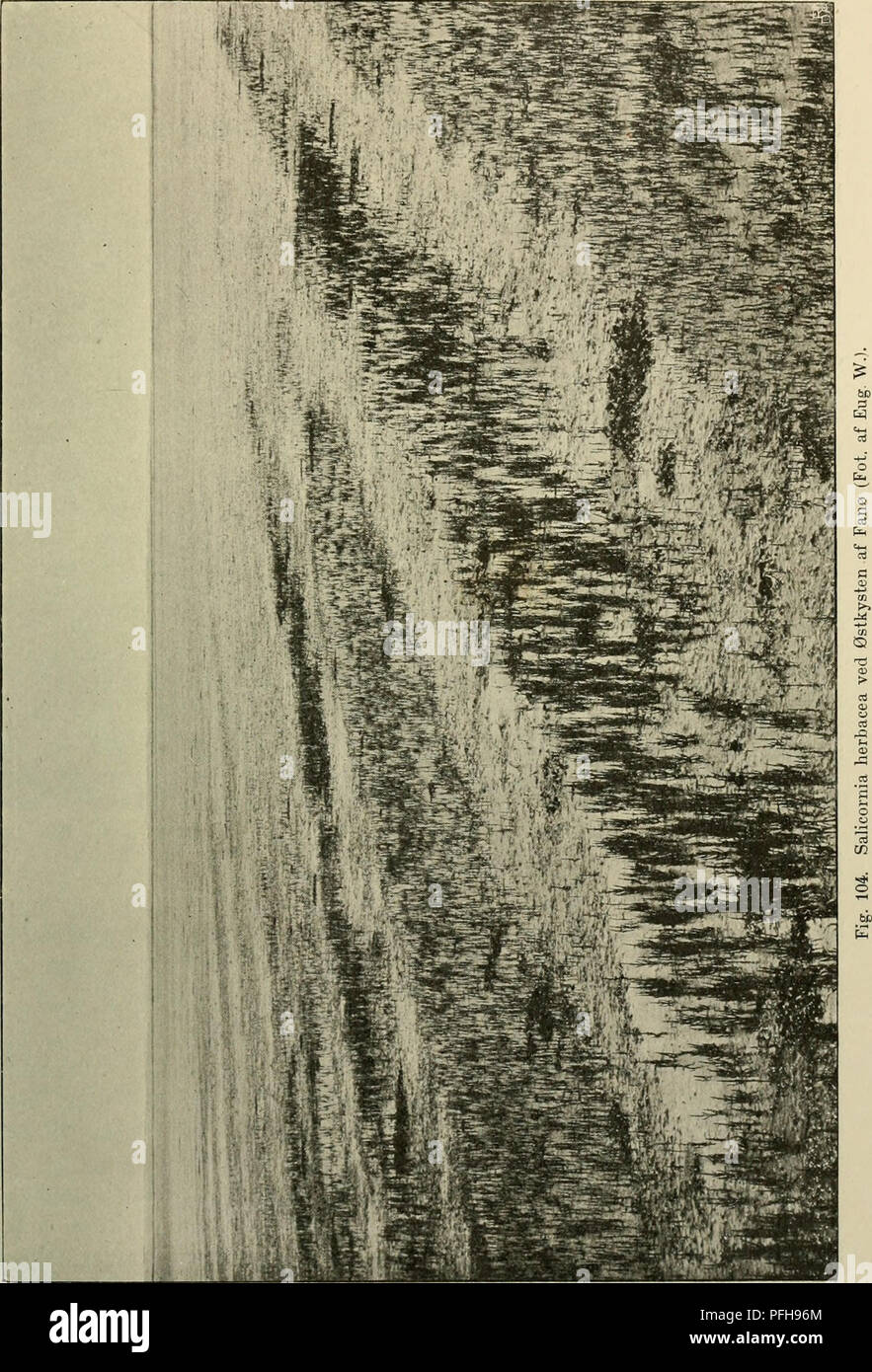 This work on Danish plant life covers the ecology of various plant ...
