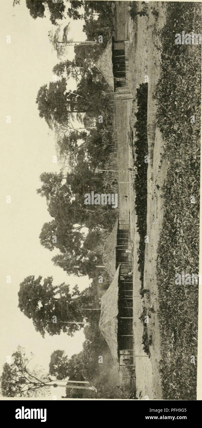 This book recounts an expedition through the central African forest in ...